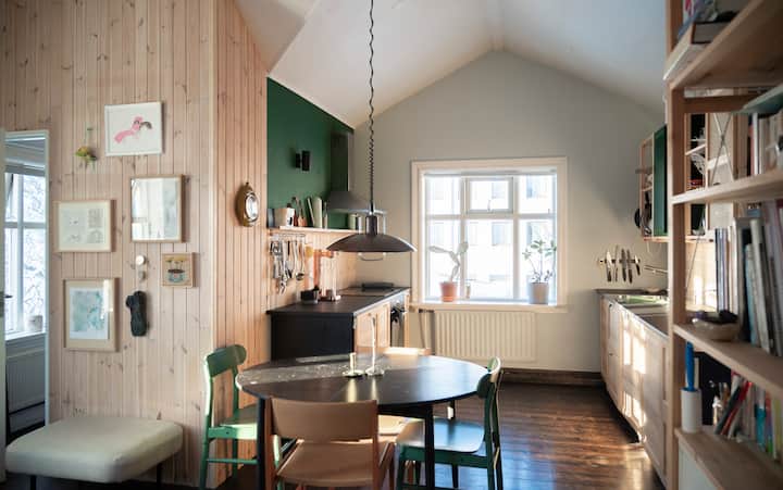 Artist's Home In Downtown Reykjavik - Reykjavík