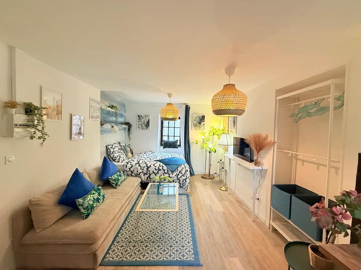 Cosy Azur & Corail - 2ch - Verdun - Pau