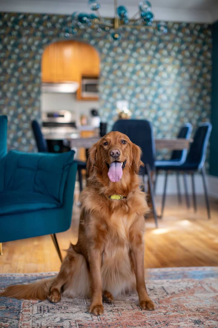 Ultimate Pet Friendly Stay - Paws & Relax Retreat - Minneapolis