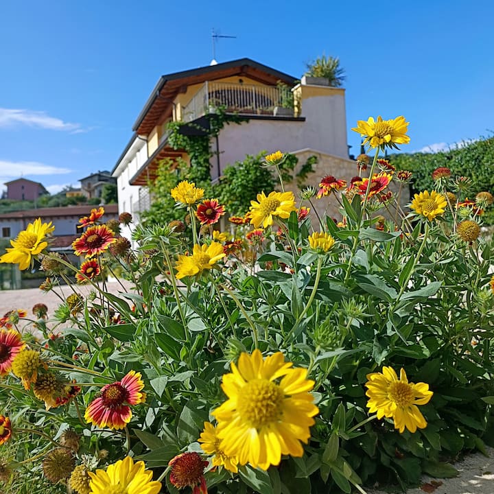 Valpolicella Valley - Residenza La Palma Negrar - Bussolengo