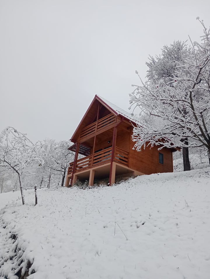 Cabana Ulmului - Vișeu de Sus