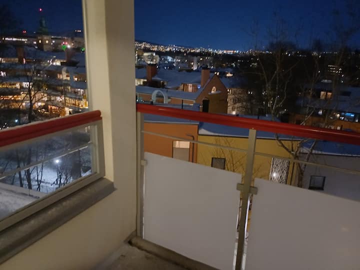 2 Rom, Sentralt, Flott Utsikt Og God Standard. - Oslo