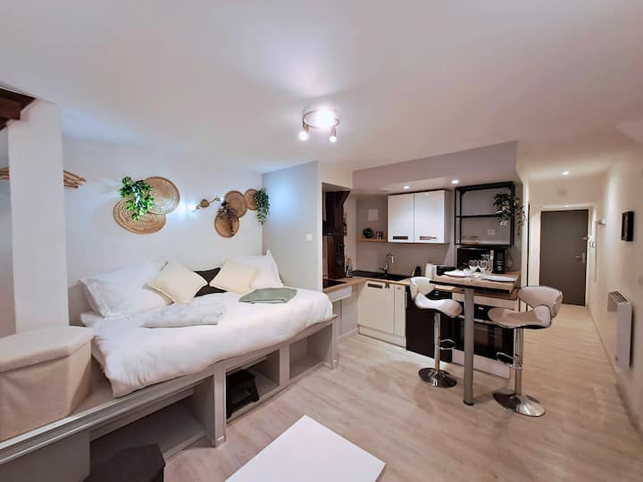 L'escale, Studio, Hyper-centre Historique, Netflix - Laval, France