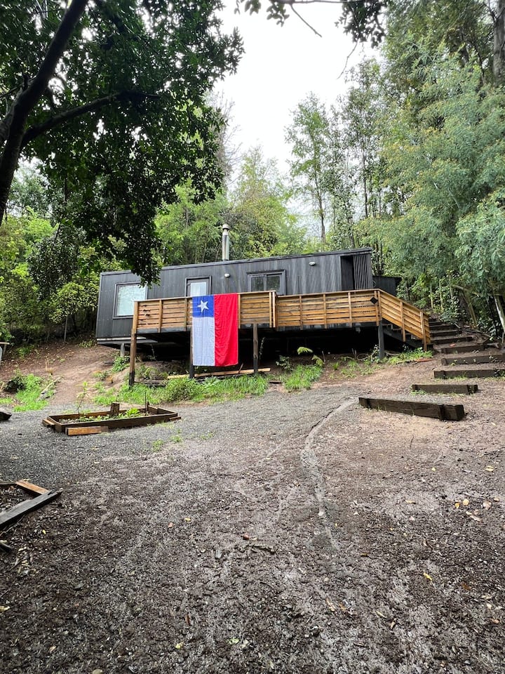 Nueva Tiny House Bosque, Pucón Centro - Pucon