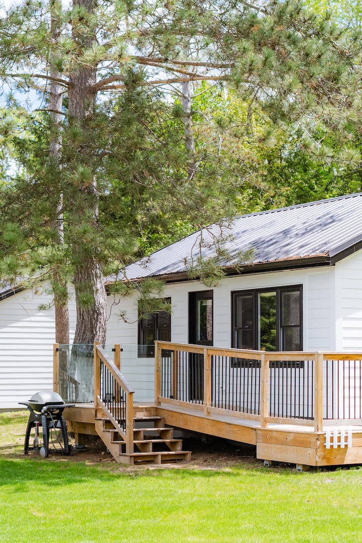 Starlit Cabin, Algonquin Woods - Ontario 60