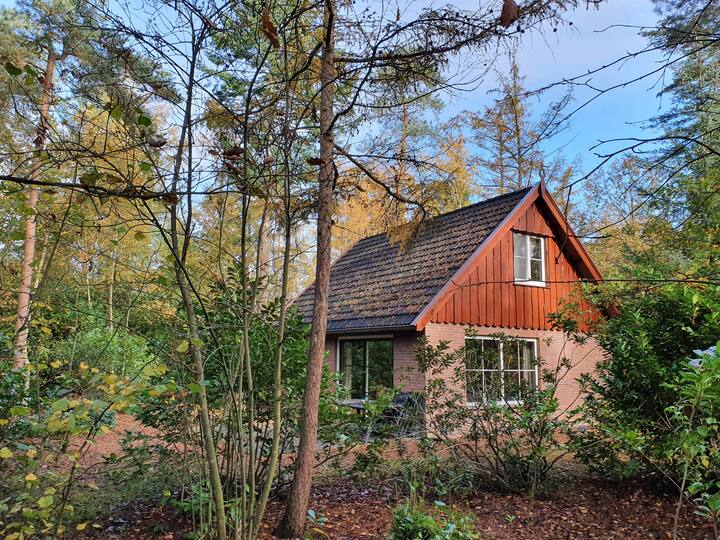 Wellness Family Home - Enschede