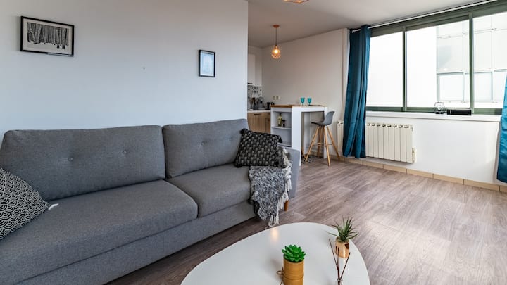 Studio Lumineux Avec Ascenseur - Dijon
