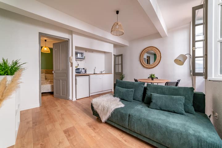 Cœur De L'écusson - Immeuble Privatisé 6-10 Pers - Occitanie