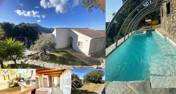 Chambre D'hôte Marigaby
- Marguerite - Saint-Florent