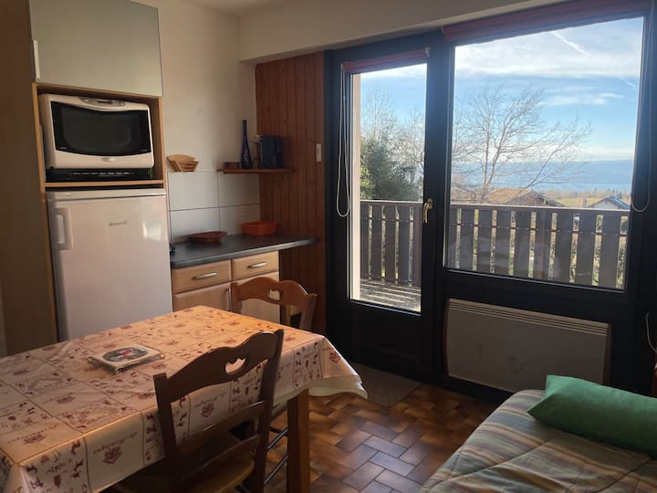 2 Pièces Au Calme Face Au Lac - Thollon-les-Mémises