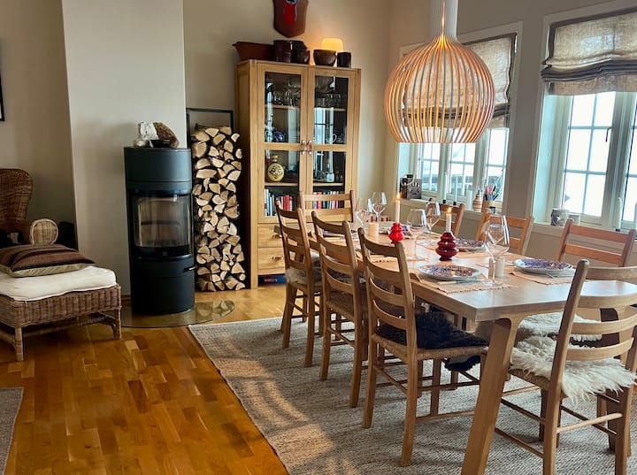 Stor Komfortabel Familieleilighet Fylt Med Turtips - Røldal