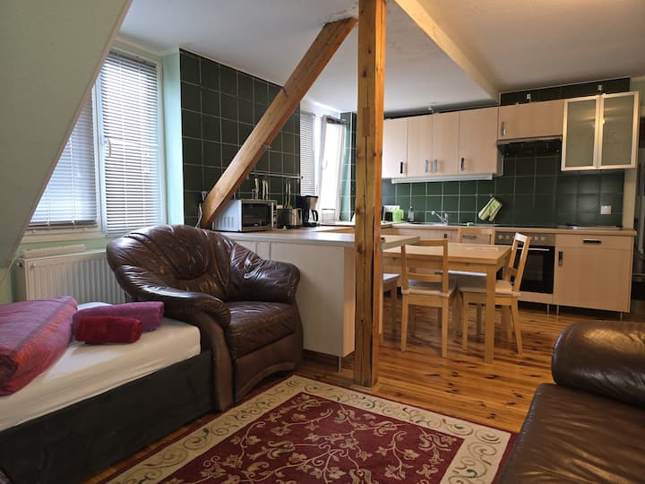 Comfortable Apartament 7 In Villa Küchwald - Chemnitz