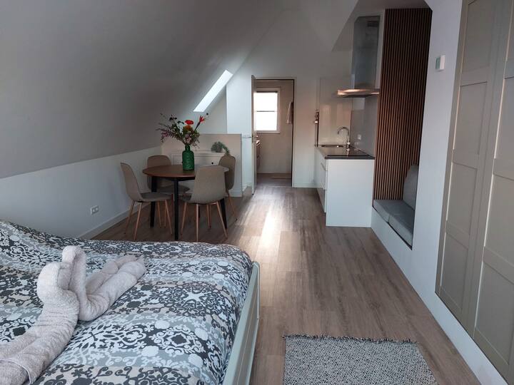 Apartement Hoofddorp/schiphol - Aalsmeer