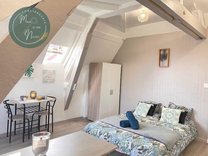 Studio Du Voyageur - Simple & ÉPuré - Proche Gare - Sainte-Savine