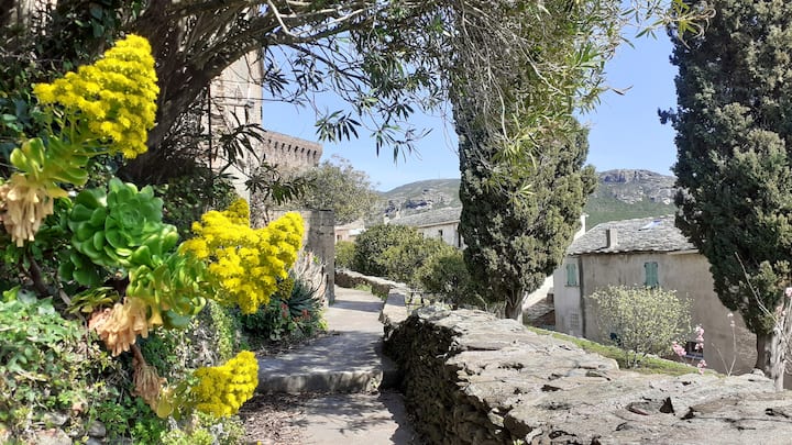 Maison Tradi 6 Pers Mer - Maquis - Cap Corse