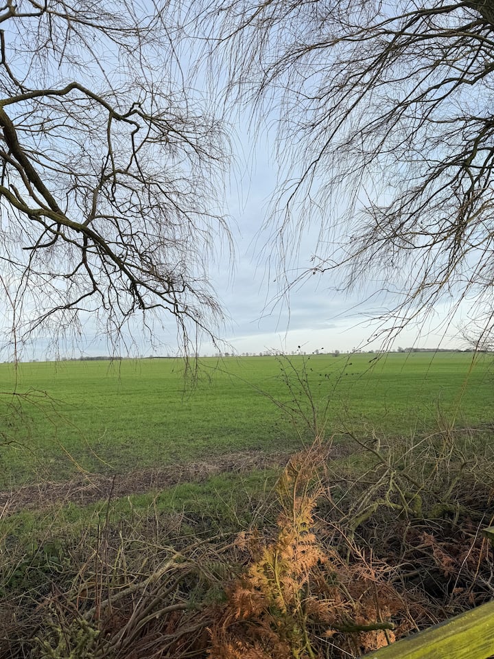 Shed  Family Room - Downham Market