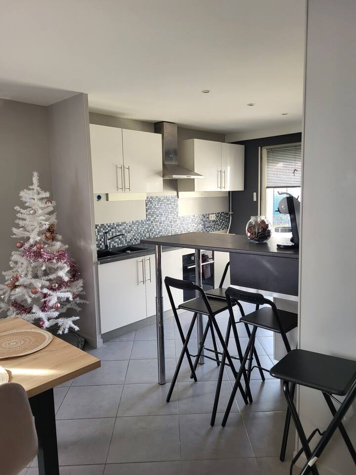 Appartement Rdc - Chassieu