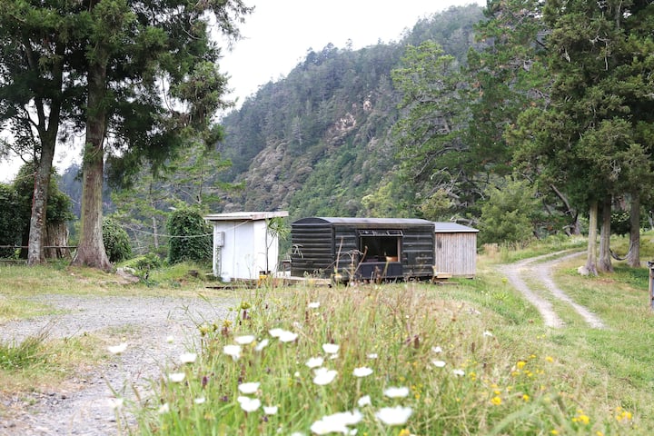 Karangahake Carriage Retreat - Paeroa