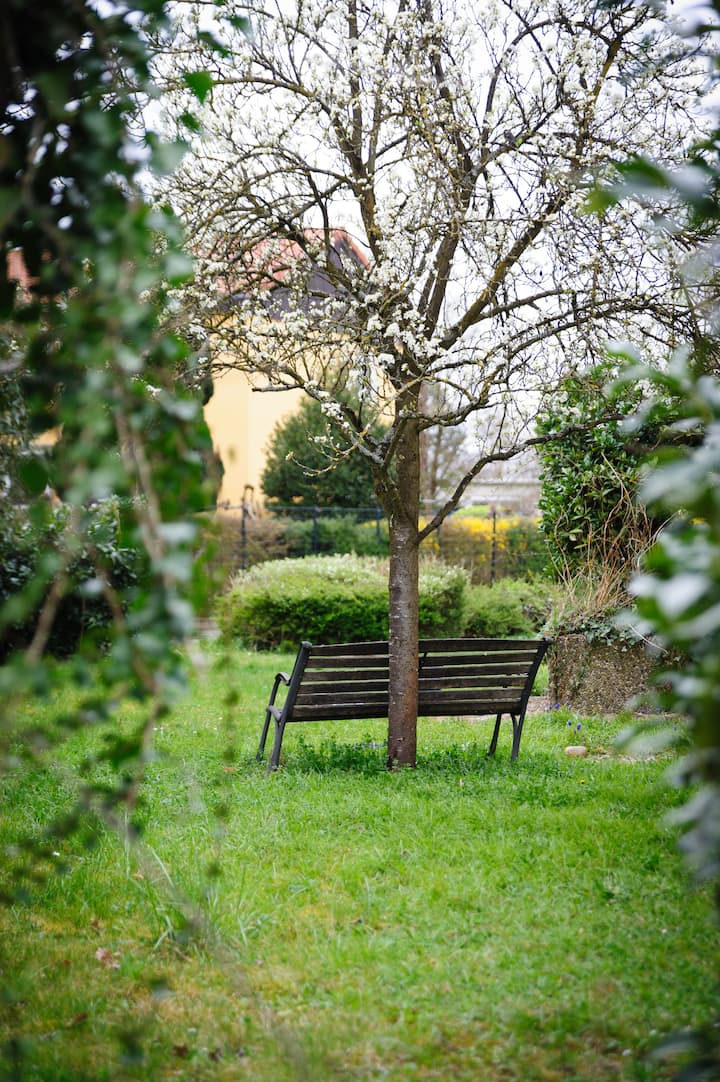 Wohnung, Strasbourg/schwarzwald, 5 Pers., 110 Qm - Offenburg