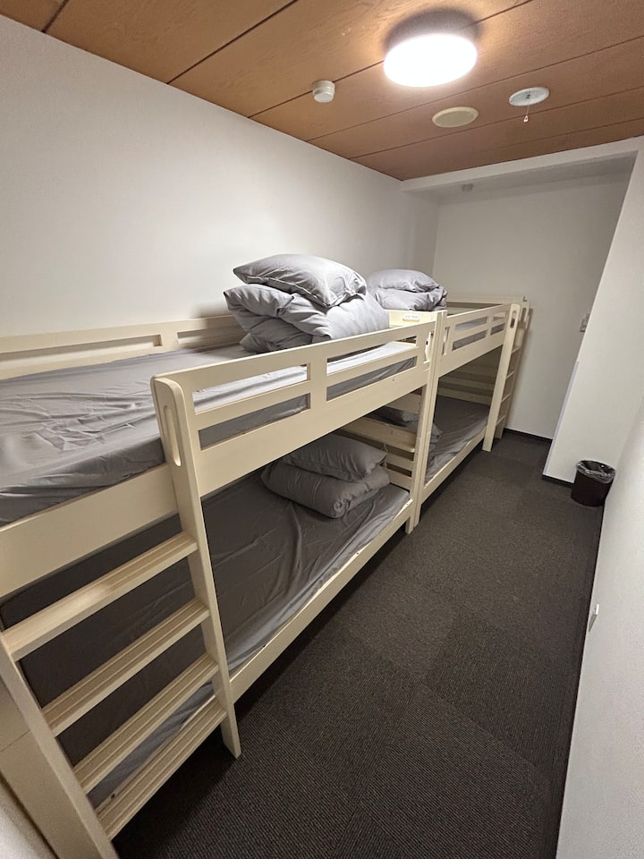Bunk Bed In Mixed Dormitory Room(shared Bathroom) - 糸魚川市