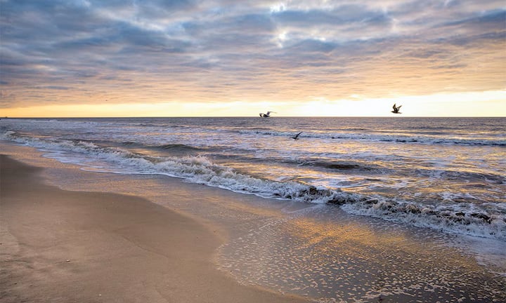 3 Bedroom Oceanfront Suite On Myrtle Beach - North Myrtle Beach, SC