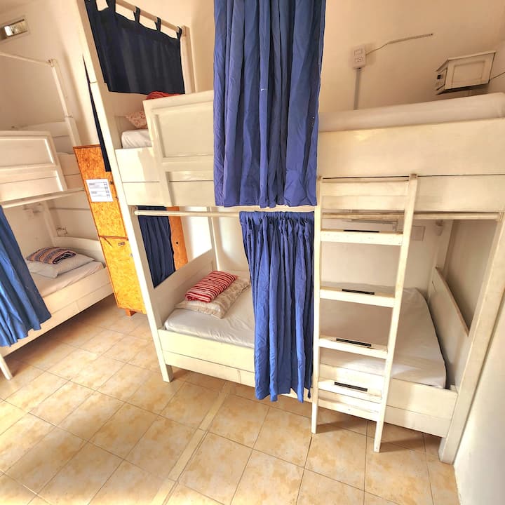 Bed In Dorm With Pool In Oaxaca Center - Oaxaca