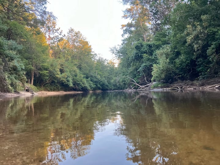 Cabin On The Creek - Paul B Johnson State Park, Hattiesburg