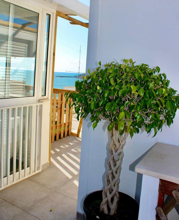 Casa Palhaço - Albufeira