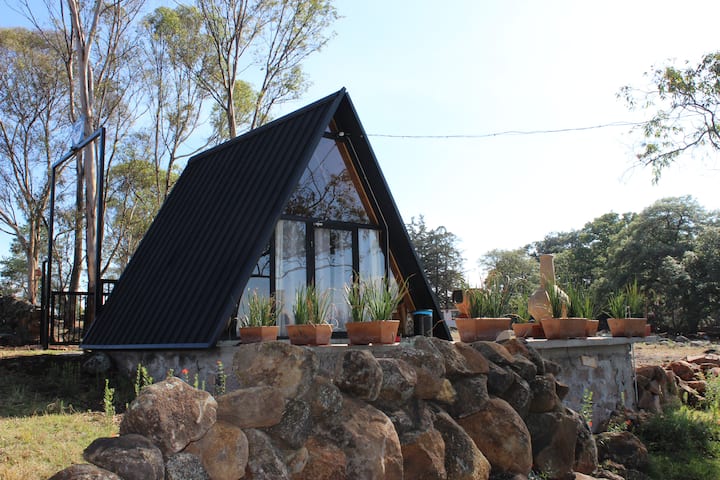 Casa Santi: Refugio Acogedor Rodeado De ÁRboles - Querétaro