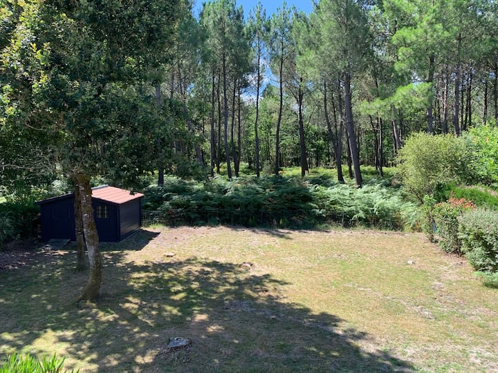 Maison 6 Personnes Face Pinède - Hourtin Plage