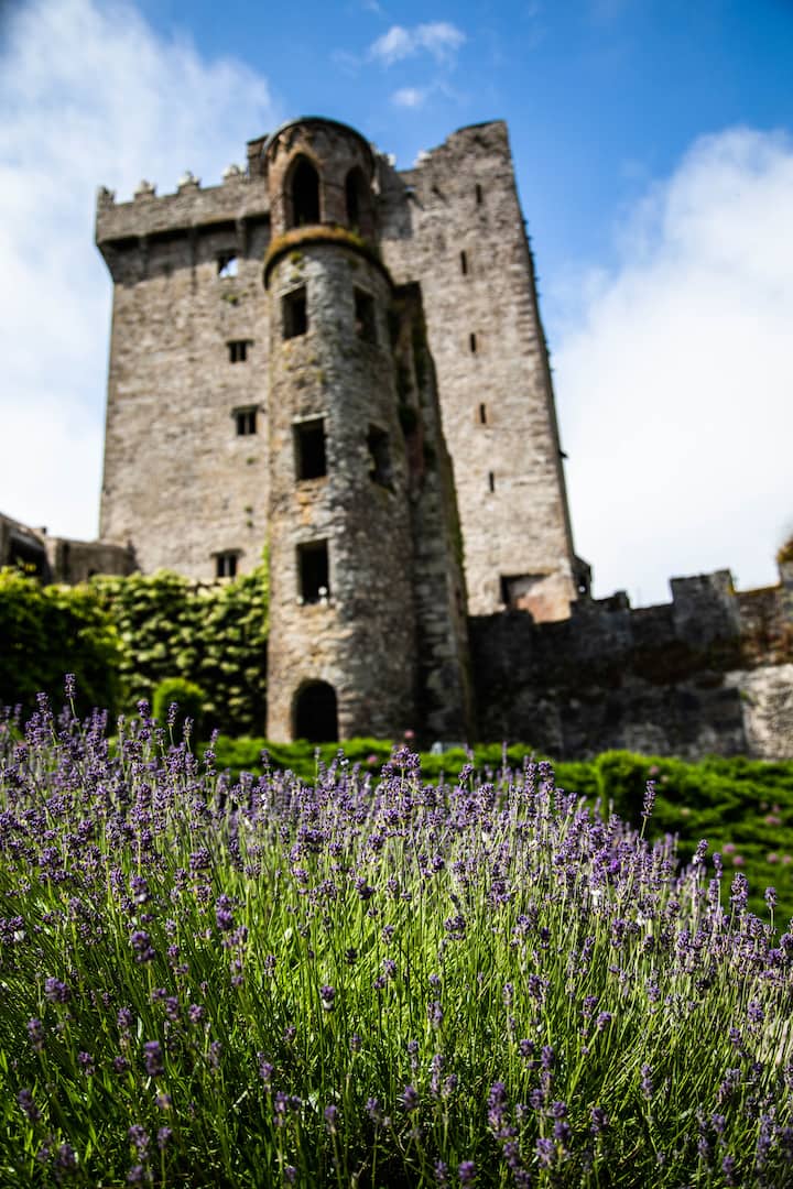 Lee Valley Inniscarra Kabin - Cork