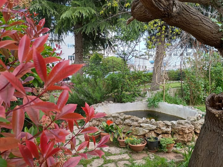 Appartamento Centrale - Martina Franca