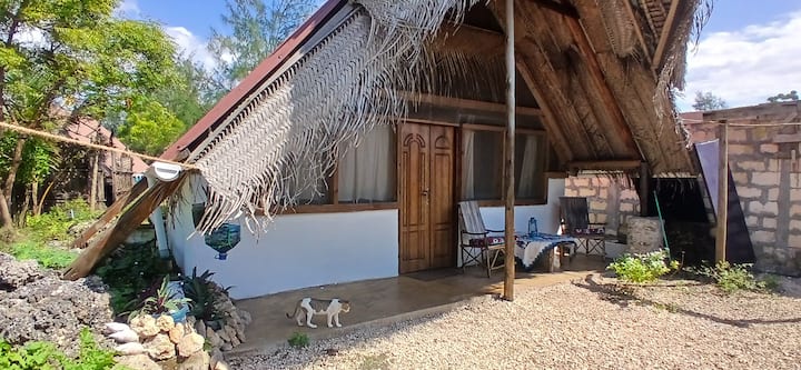 Pongwe Eco Lodge - Embe - Tanzania