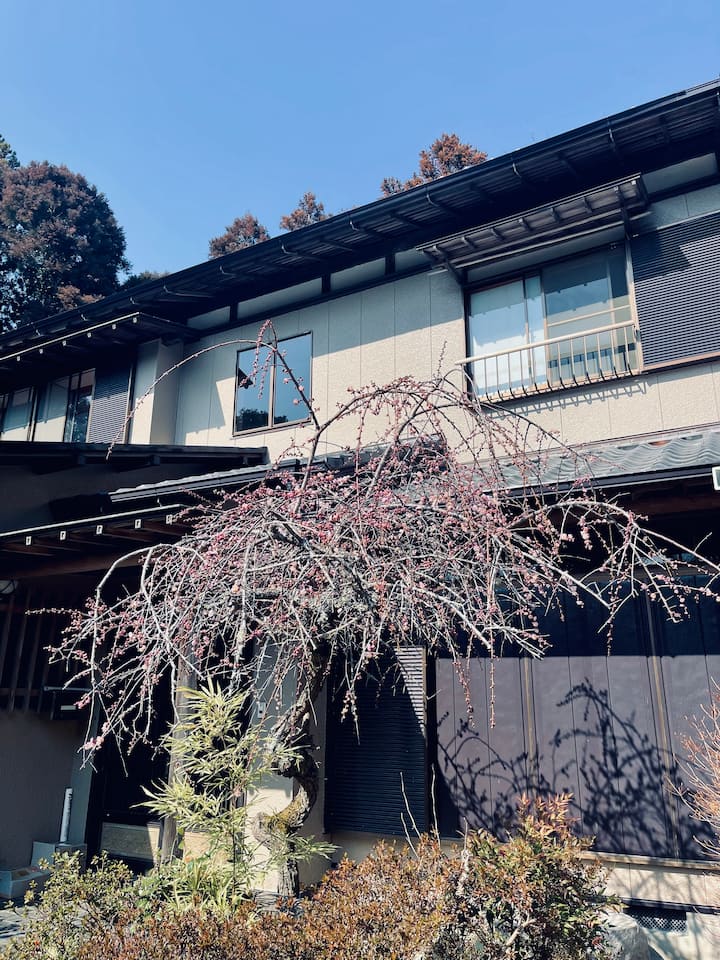 自然に囲まれた静寂な和風庭園のお宿 『Taito』 - 이스미시