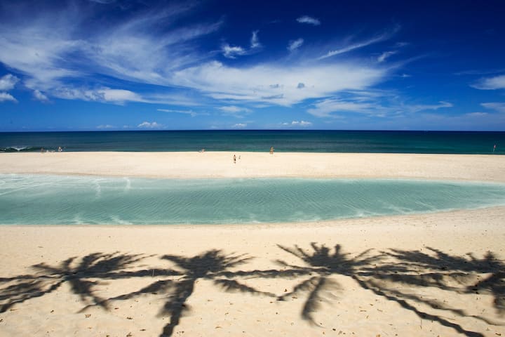 Location: Ritz Kui 'Lima W: Fall & Halloween Deals - Laie, HI