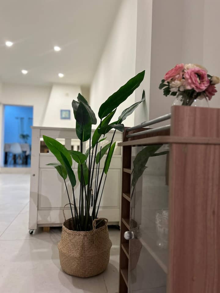 Departamento Dos Ambientes Espacioso Y Comodo. - Colón