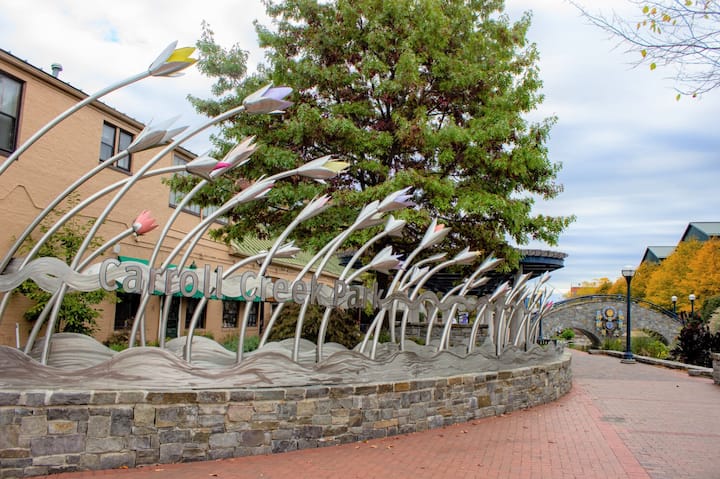 Relaxing Pvt Rm 10mins To Carroll Creek & Downtown - Frederick, MD