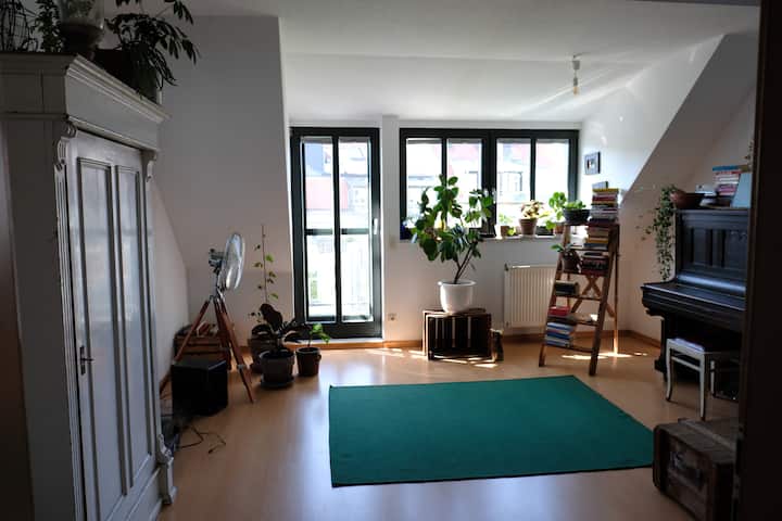 Ruhige, Cozy Wohnung - Leipzig