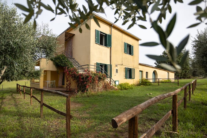 Casa Rotondella Piano Terra - Pisciotta