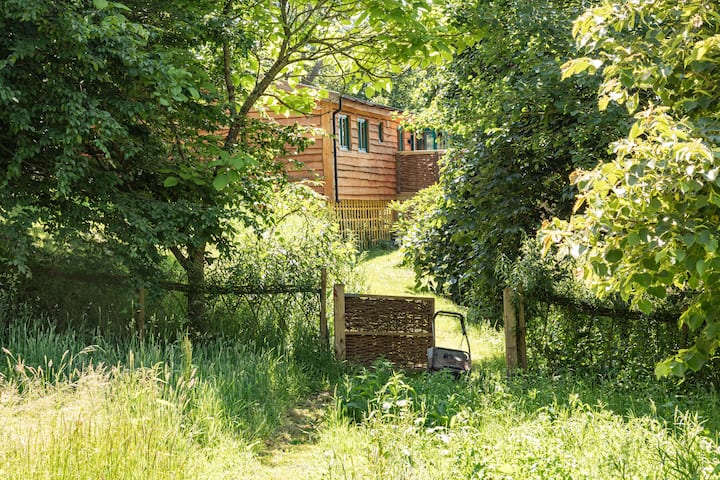 Total Privacy In Hidden Cornwall - Looe