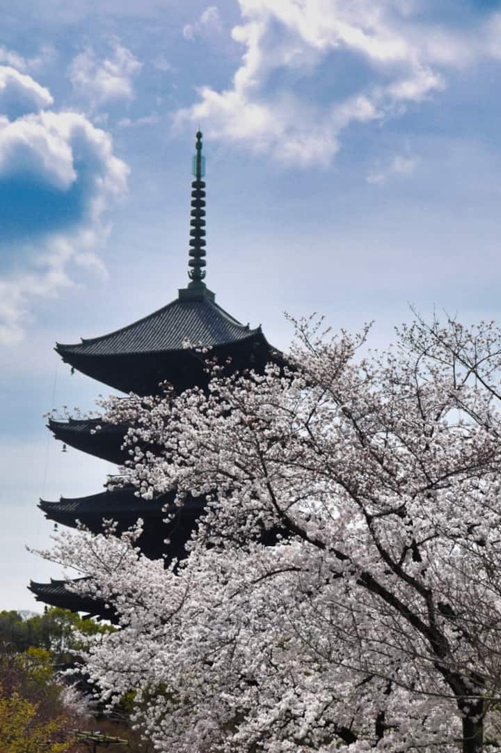 京都一軒家 3階建て｜東寺 京都駅徒歩圏内・大阪30分・奈良45分｜最大10名 ベッド7台 子供歓迎 - Kyoto