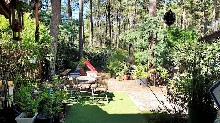 Maisonnette De Charme Sous Les Pins, Océan Lac - Carcans