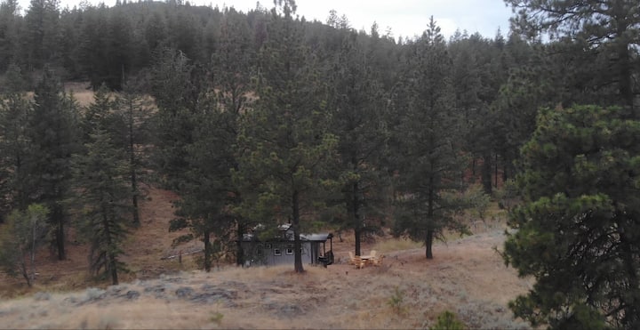 Wild Horse Gorge - Oliver