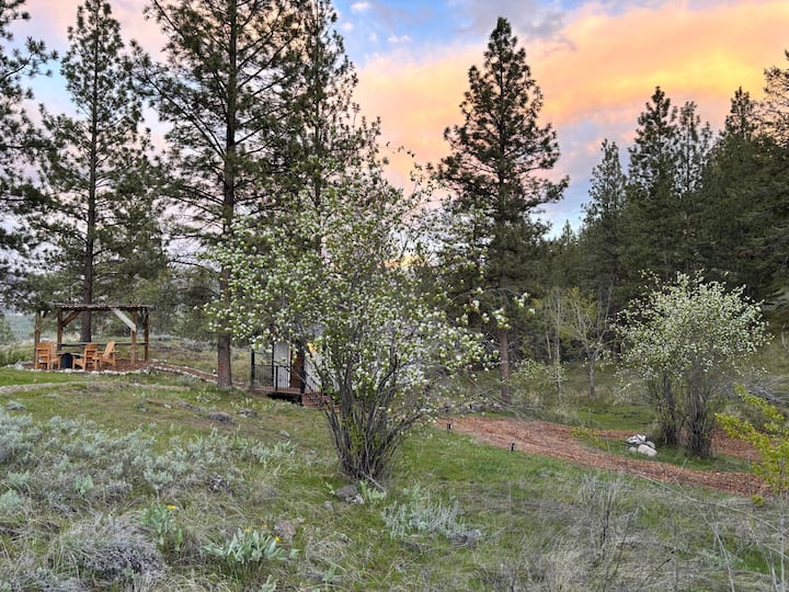 Wild Horse Gorge - Oliver