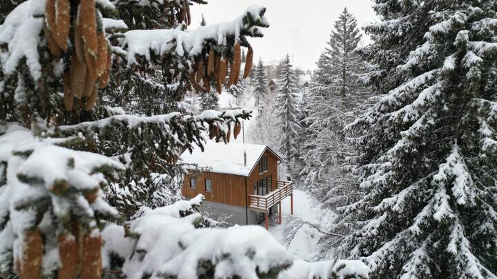 Gorska Vila - Kopaonik