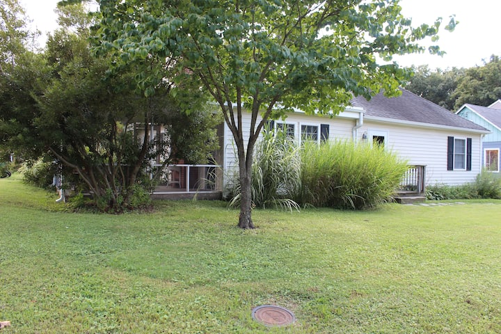 River City: Huge Fenced Yard 4 Dog, Safe Area Ur - Richmond, VA