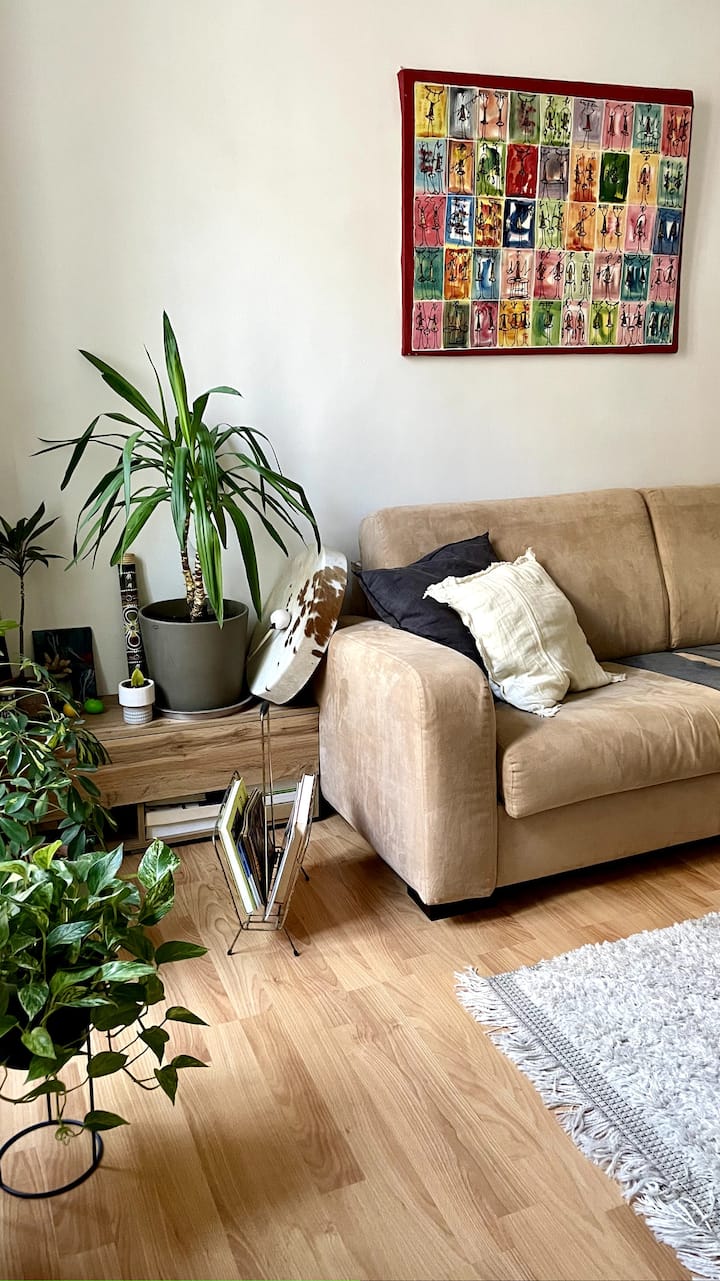 Joli T2 Typique Proche Vieux-port - Musée des Beaux-Arts de Marseille