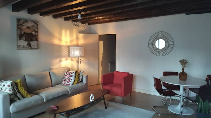 Appartement Dans Le Centre Historique - Dijon