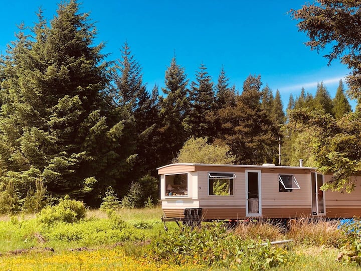 Romantic Tinyhouse In The Forest - Inverness