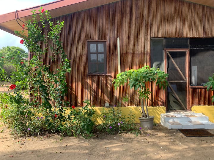 Ecolodge - L'auberge Hozalam - Côte d'Ivoire